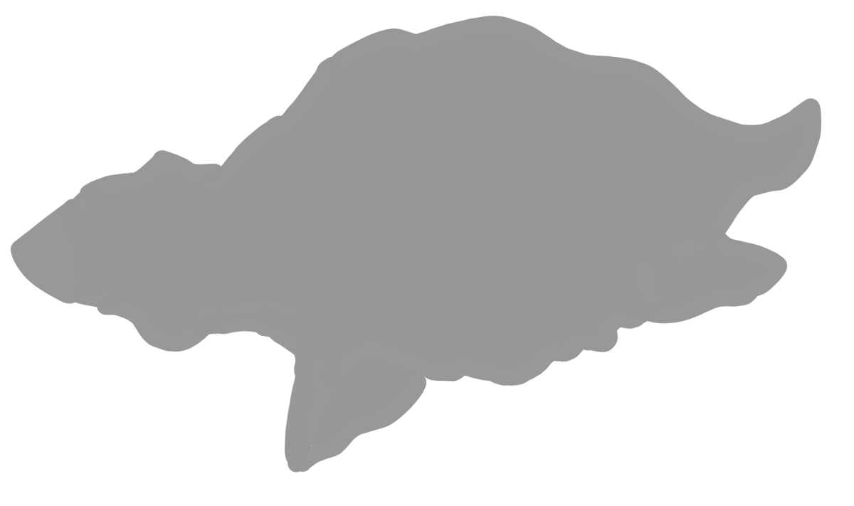 Astra | Wikipets | Fandom