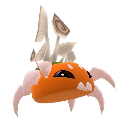 Category:Jumping Spiders | Wikipets | Fandom