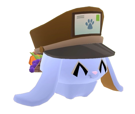 Dizzymax | Wikipets | Fandom