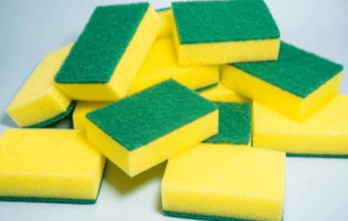 Sponge | Wikipets | Fandom