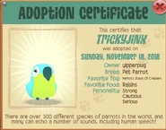 Castor | Wikipets | Fandom