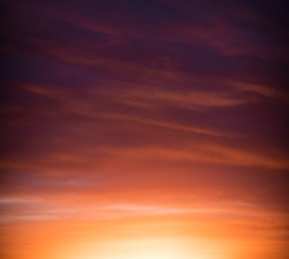 Dizzymax | Wikipets | Fandom