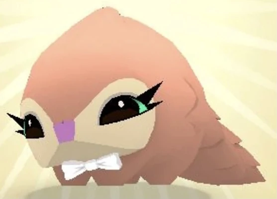 Dapperberry | Wikipets | Fandom