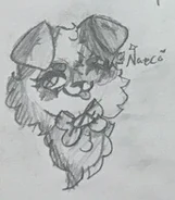 Naeco | Wikipets | Fandom