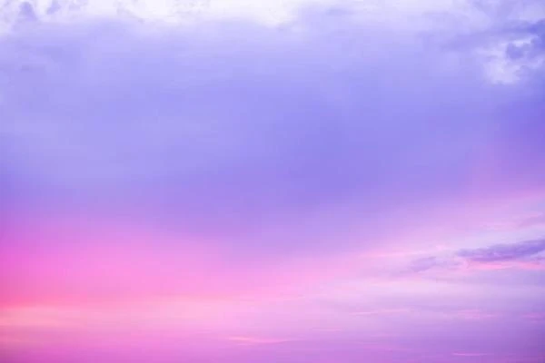 Winterpebble | Wikipets | Fandom