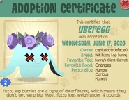 Autumnberry | Wikipets | Fandom
