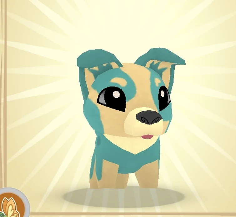 Sandbar | Wikipets | Fandom