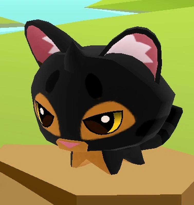 Jerry | Wikipets | Fandom