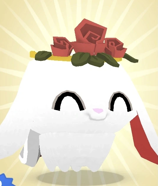 Rubie | Wikipets | Fandom