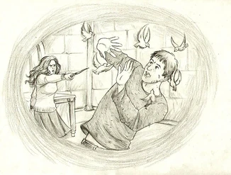 Oppugno | Wiki WikiPotter | Fandom