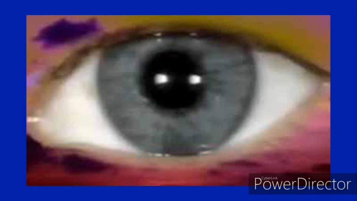 Hikon Eye | Wikis About People: The Olman (EMLAATRMLPBVM2004 HD) Wiki ...