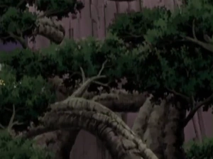 Elemento Madera | Wiki WikiSenjuUzumaki | Fandom