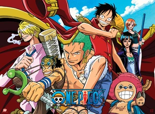 One Piece | Wiki Series Español | Fandom