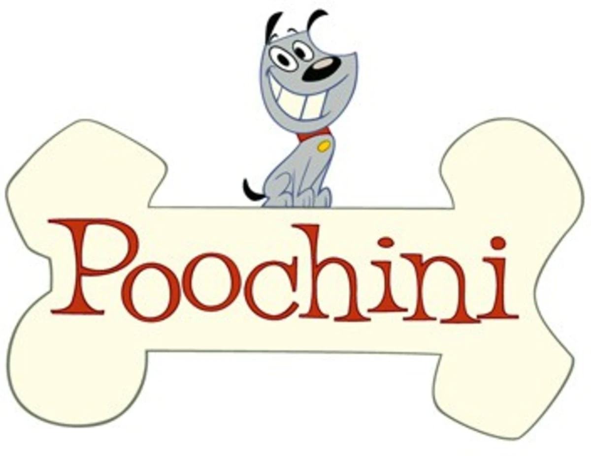 Poochini | Wiki TF1 Jeunesse | Fandom