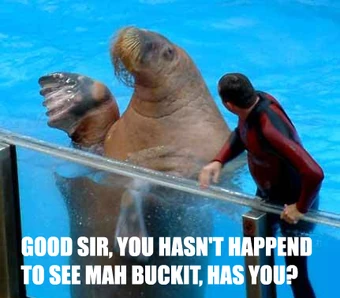 Walrus Bucket