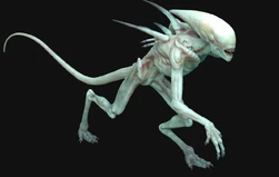 Neomorph | Role-Play Grid | Fandom