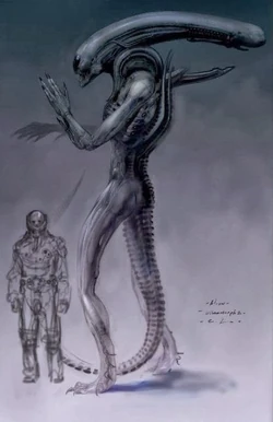 Ultramorph | Role-Play Grid | Fandom