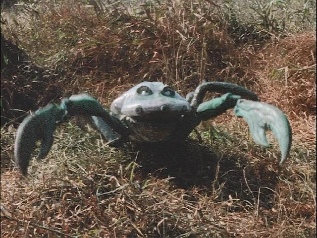 Gumonga | Role-Play Grid | Fandom