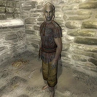 Valen Dreth | Wilburgur Wiki | Fandom