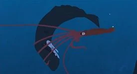 Whale of a Squid | Wild Kratts Wikia | Fandom