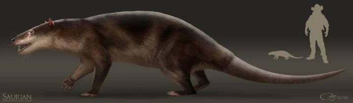 Didelphodon | Wild America Wiki | Fandom