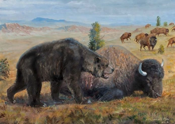 Short Faced Bear | Wild America Wiki | Fandom