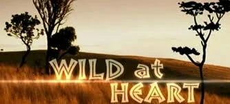 Series 1 | Wild at Heart Wiki | Fandom