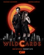 Wild Cards 2024 TV SERIES Wiki | Fandom