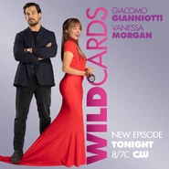 Wild Cards 2024 TV SERIES Wiki | Fandom