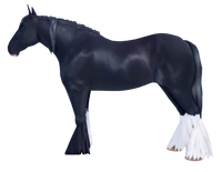 Shire | Wild Horse Islands Wiki | Fandom