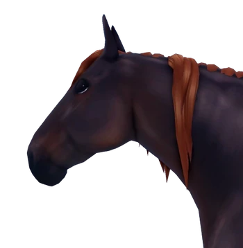 Shire | Wild Horse Islands Wiki | Fandom