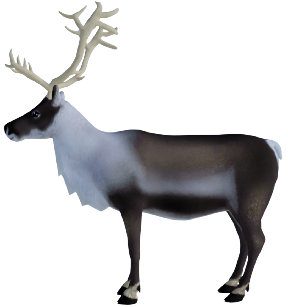 Holiday Event 2022 | Wild Horse Islands Wiki | Fandom