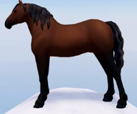 Percheron | Wild Horse Islands Wiki | Fandom