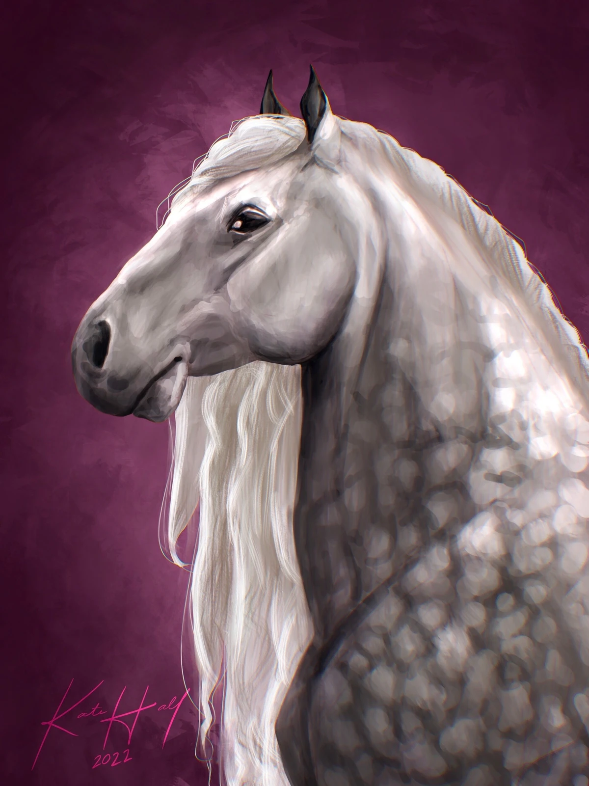 Percheron | Wild Horse Islands Wiki | Fandom