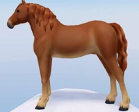 Percheron | Wild Horse Islands Wiki | Fandom