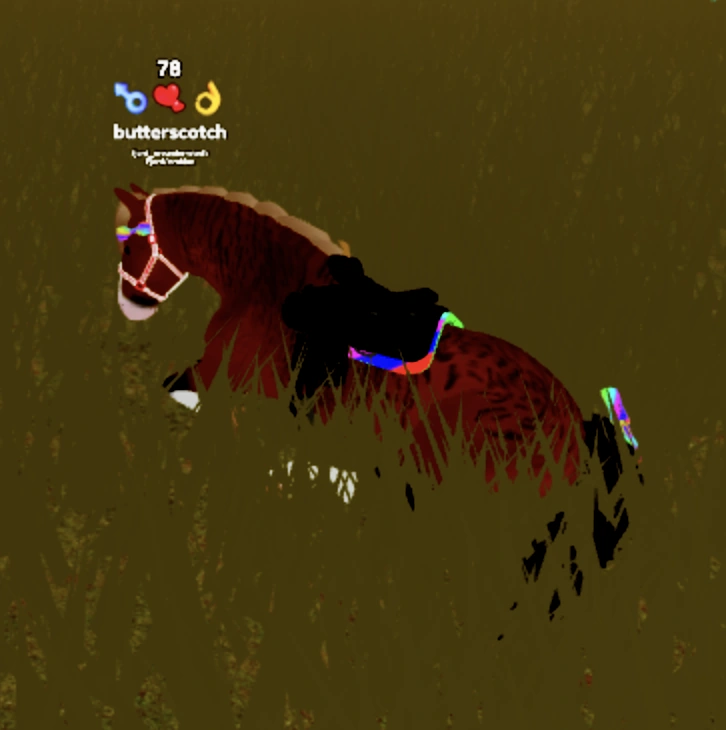 User blog:Aereisholic/old profile layout might reuse | Wild Horse ...