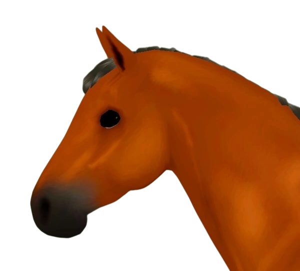 Connemara | Wild Horse Islands Wiki | Fandom