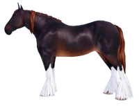 Shire | Wild Horse Islands Wiki | Fandom