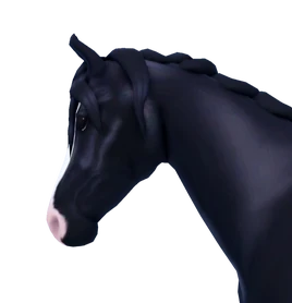 Marwari | Wild Horse Islands Wiki | Fandom