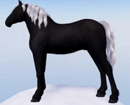 Island Unique Coats | Wild Horse Islands Wiki | Fandom