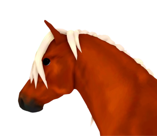 Breeds | Wild Horse Islands Wiki | Fandom