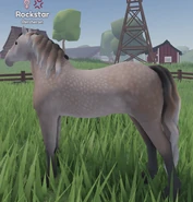 Island Unique Coats | Wild Horse Islands Wiki | Fandom