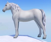 Percheron | Wild Horse Islands Wiki | Fandom