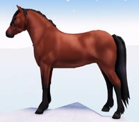 Icelandic | Wild Horse Islands Wiki | Fandom