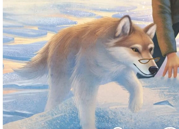 Addison | Wild Rescuer's Wiki | Fandom