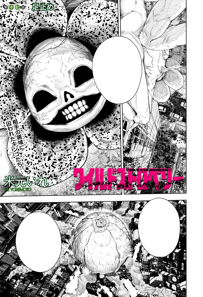 Capítulo 17 | Wiki Wild Strawberry | Fandom