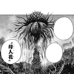 Jinka | Wild Strawberry Wiki | Fandom