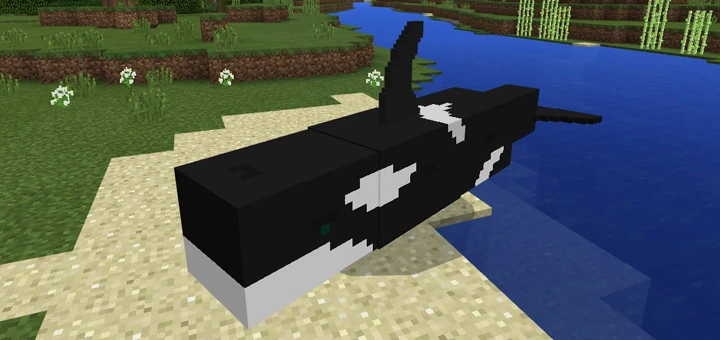 Orca | Wildcraft Minecraft Mod Wiki | Fandom
