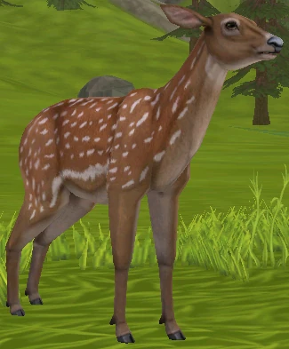 Deer (Transformation) | WildCraft Wiki | Fandom
