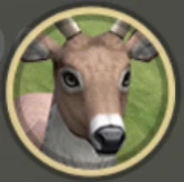 Deer (Enemy) | WildCraft Wiki | Fandom